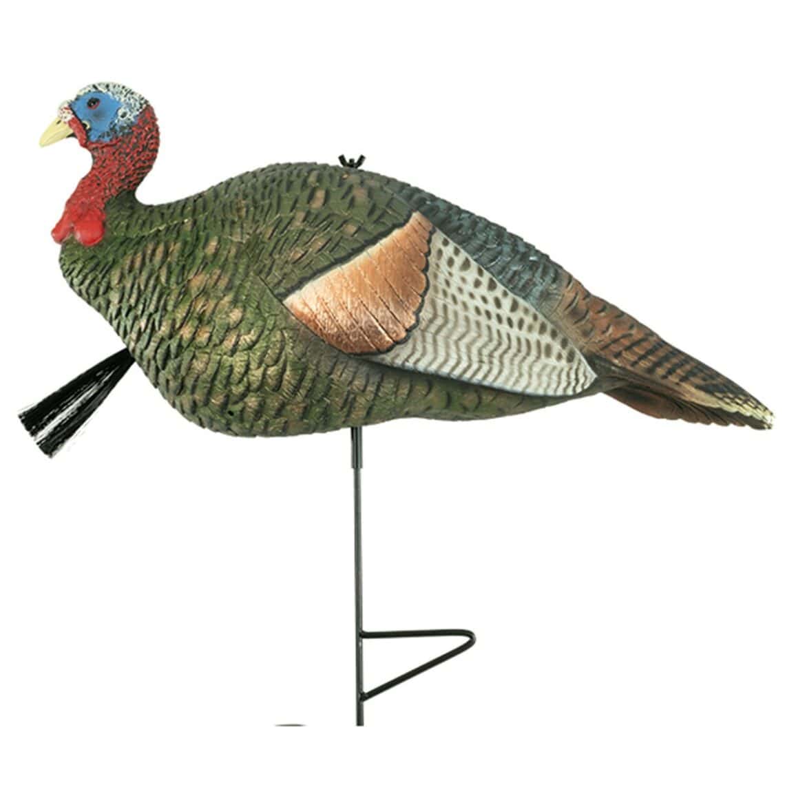 Half Strut Jake Turkey Decoy - The Grind Outdoors