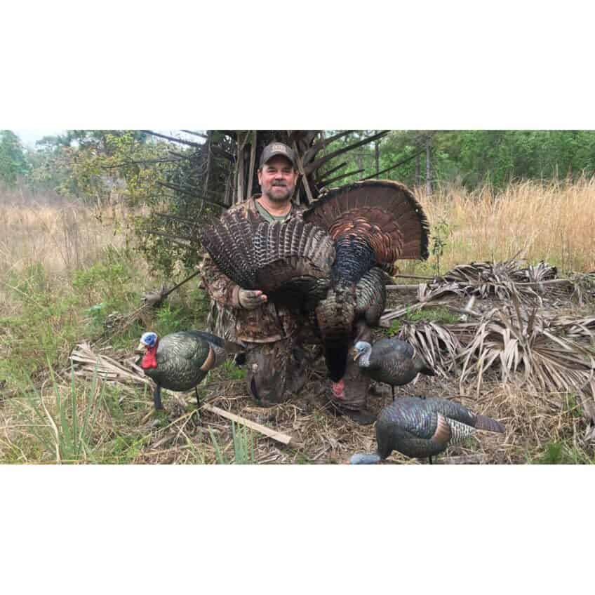 Relaxed Feeding Hen Turkey Decoy | Ultra Realistic